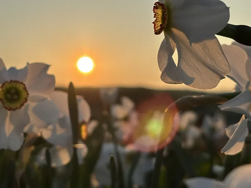 Jamie Van Iersel - Northumberland Studio Tour